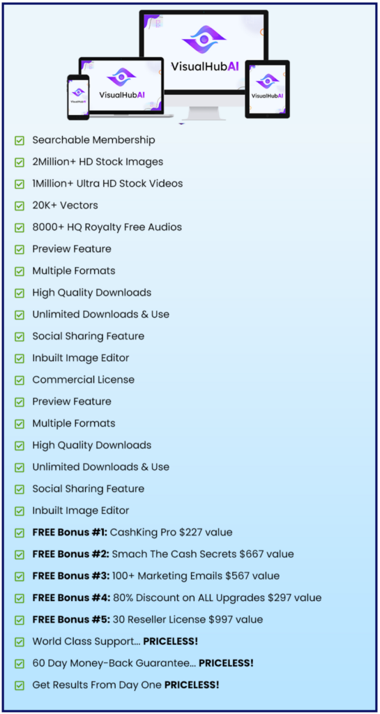 VisualHub AI Review
